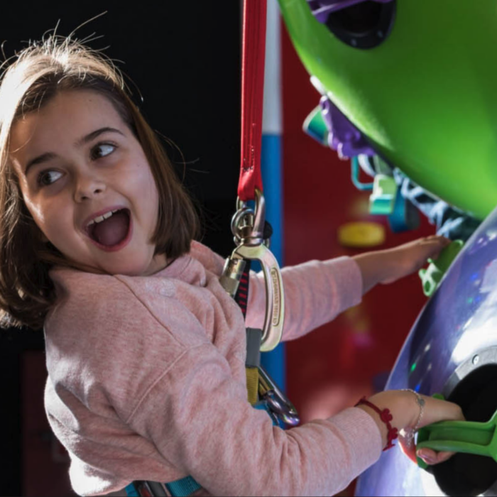 Social Fair | Unlimited Family Fun, High Ropes, Climbing Arena ...